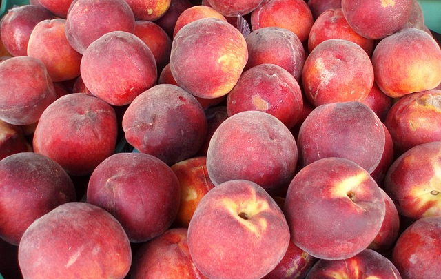 Comment cuisinier les pêches? - Origines, astuces et recettes de chef