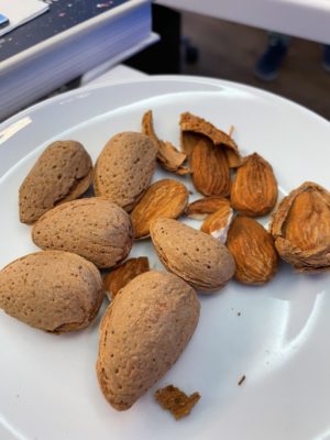 Amandes, Bocuse d'Or et cuisine persane - kitchen theorie